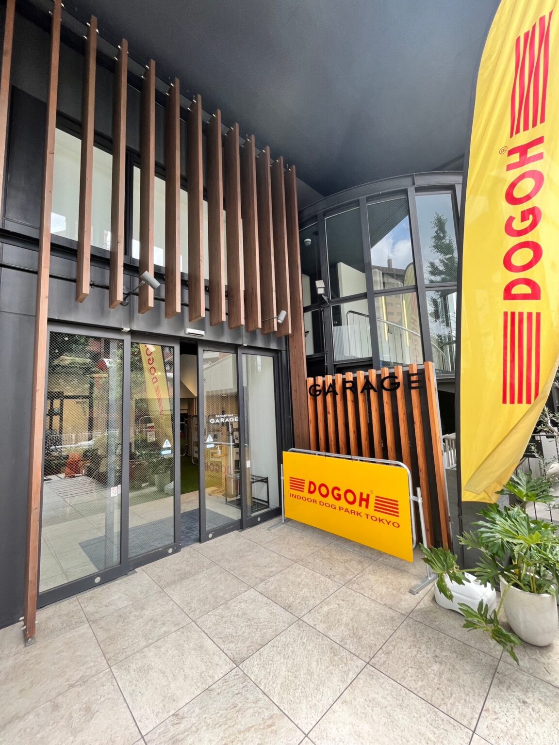 INDOOR DOG PARK TOKYO | DOGOH [ドゴー]